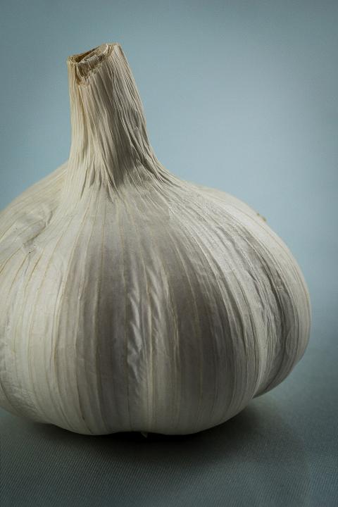 Garlic | Shutterbug